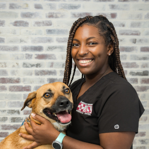 Veterinarian In Freeport, TX 77541 | Freeport Veterinary Medical Center